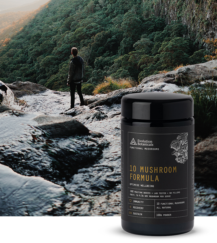 Functional Mushrooms, Adaptogens & Tonics Herbs – Evolution Botanicals
