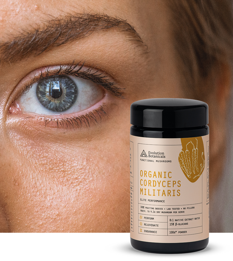 Functional Mushrooms, Adaptogens & Tonics Herbs – Evolution Botanicals