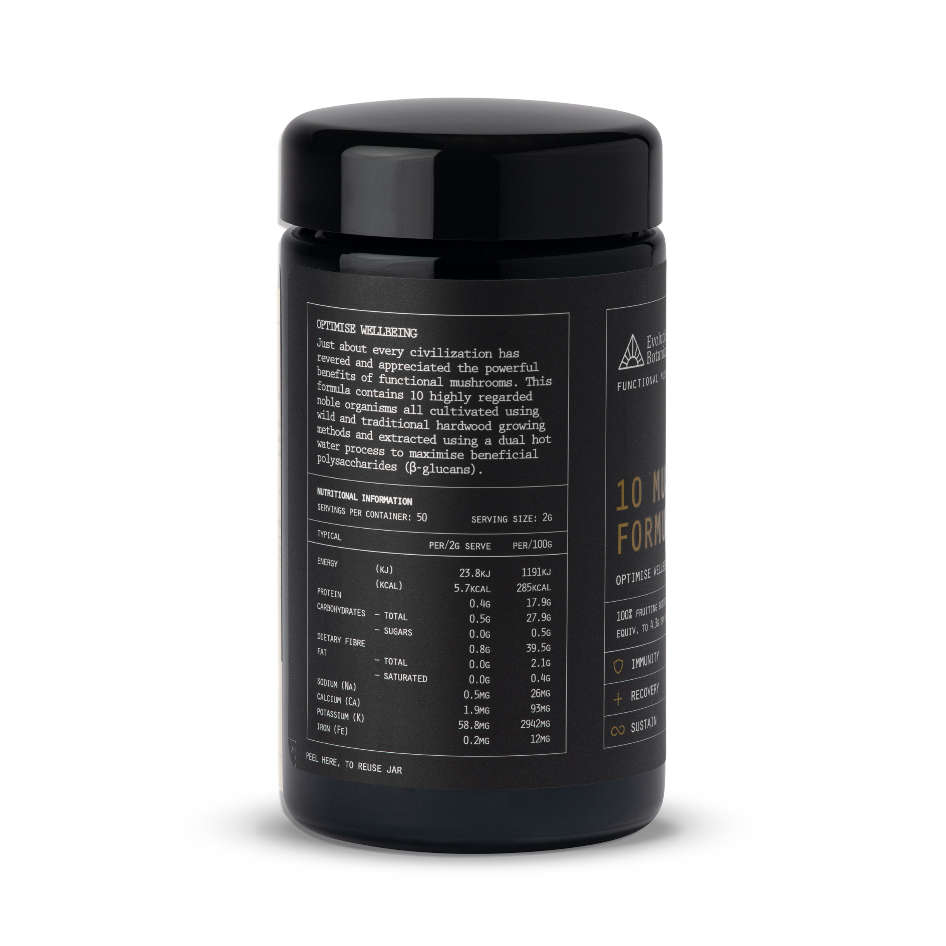 10 Mushroom Formula – Evolution Botanicals