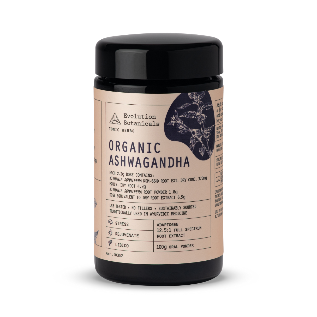 Organic Ashwagandha – Evolution Botanicals