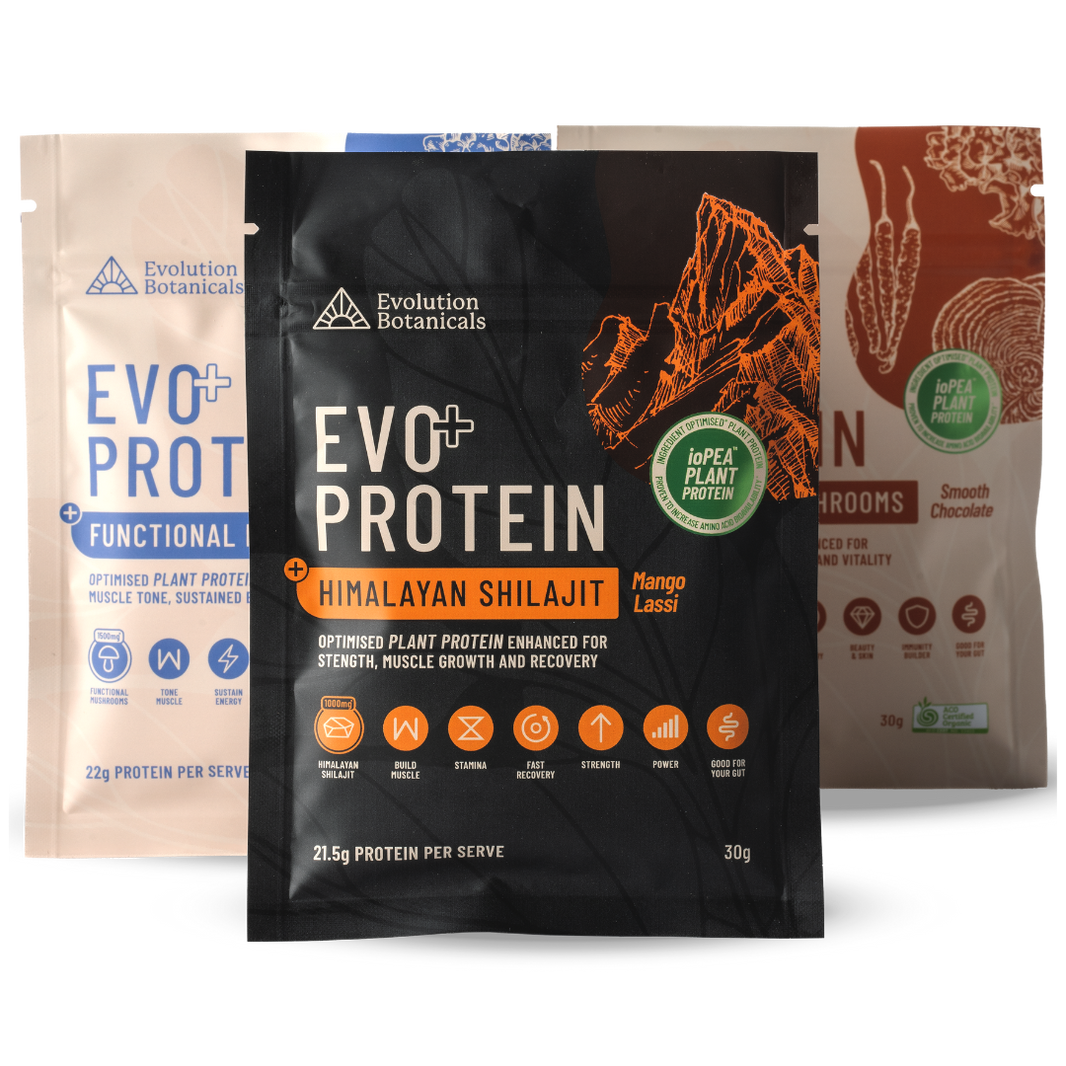 EVO PLANT PROTEIN – Evolution Botanicals