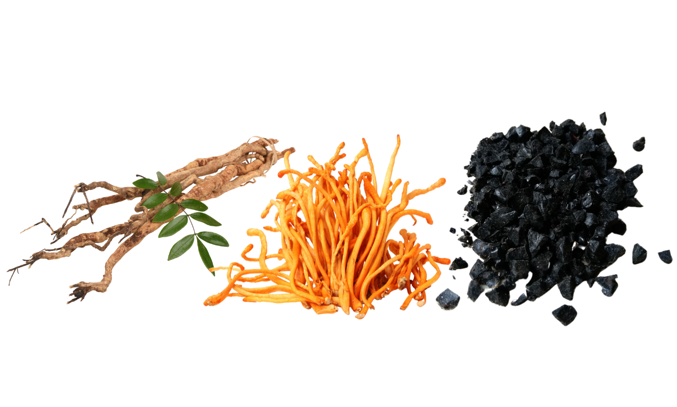Titanium Formula – Evolution Botanicals