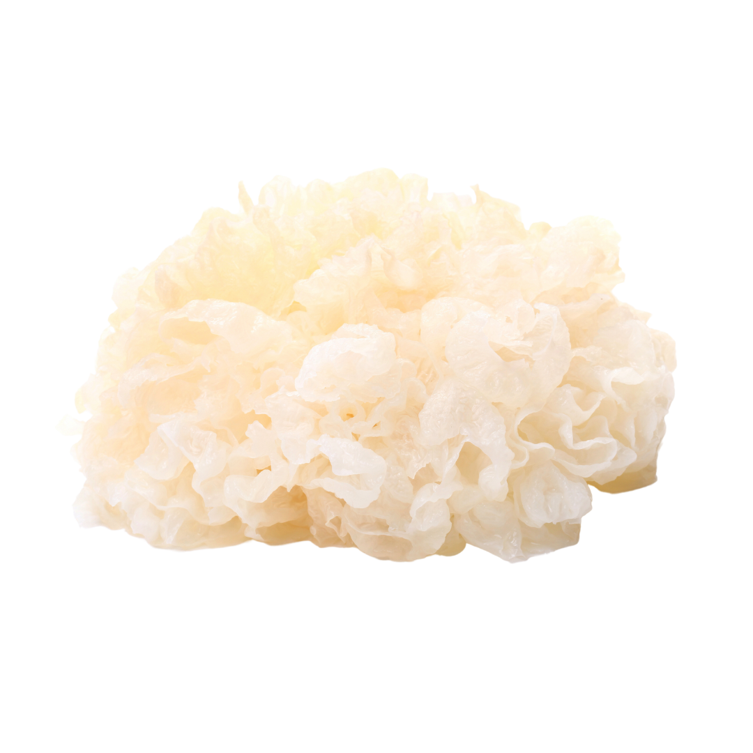 Organic Tremella – Evolution Botanicals