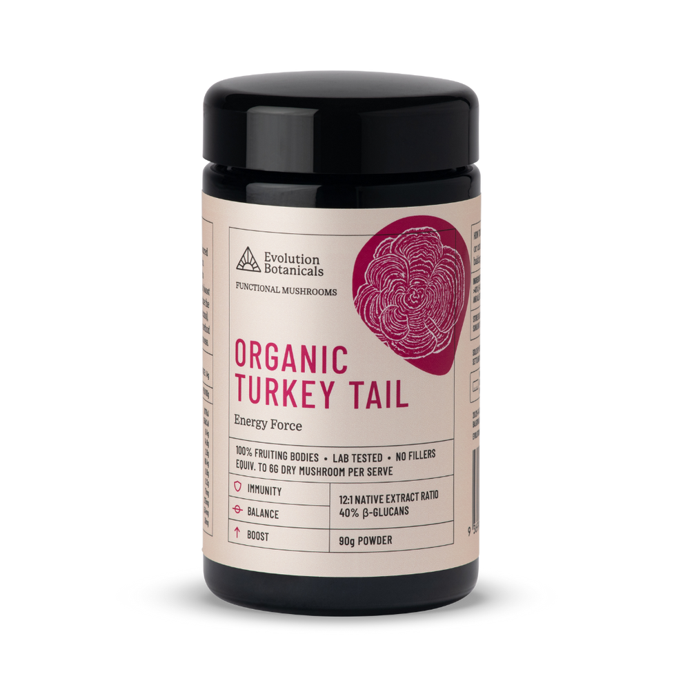 Organic Turkey Tail – Evolution Botanicals