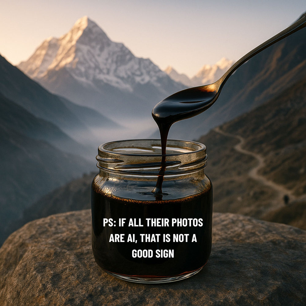 Why Choose Our Shilajit Resin – Evolution Botanicals