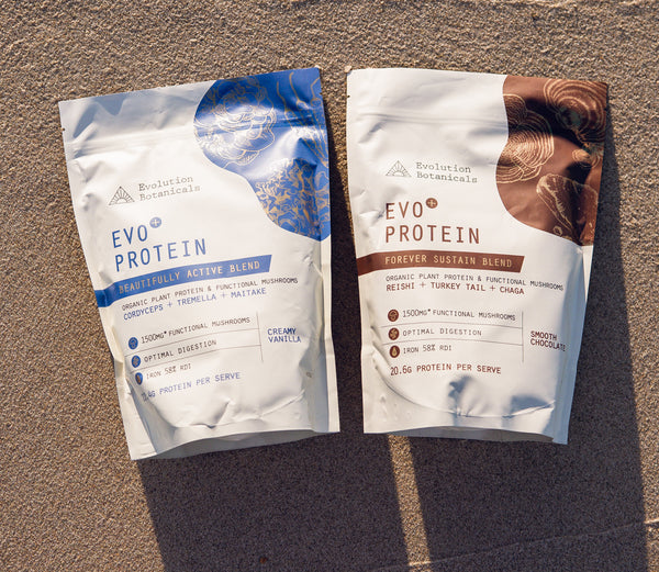 Functional Mushrooms, Adaptogens & Tonics Herbs – Evolution Botanicals