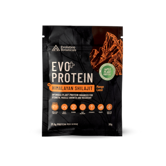 Evo Protein Shilajit Mango Lassi – Evolution Botanicals