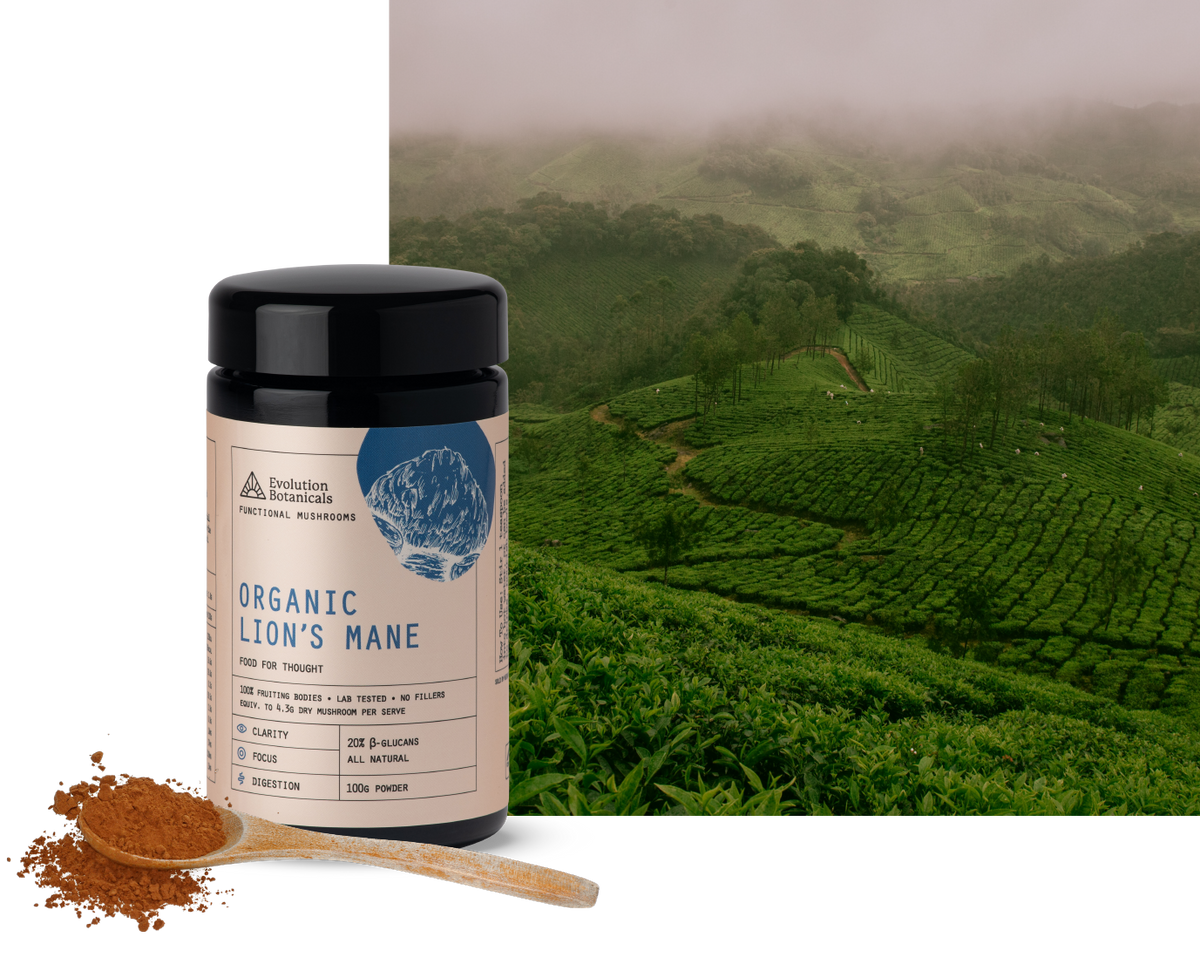 Functional Mushrooms, Adaptogens & Tonics Herbs – Evolution Botanicals